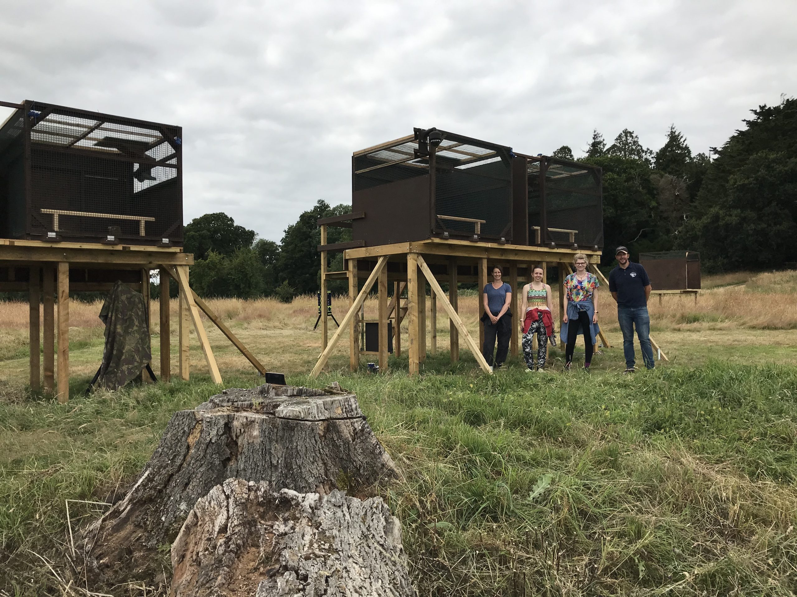 We Have Lift Off - Osprey Project 2019 - Birds of Poole Harbour