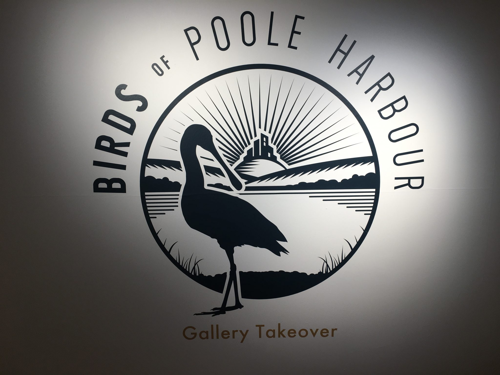 Birds of Poole Harbour Takeover Gallery in Poole Museum Oct 2021 ...