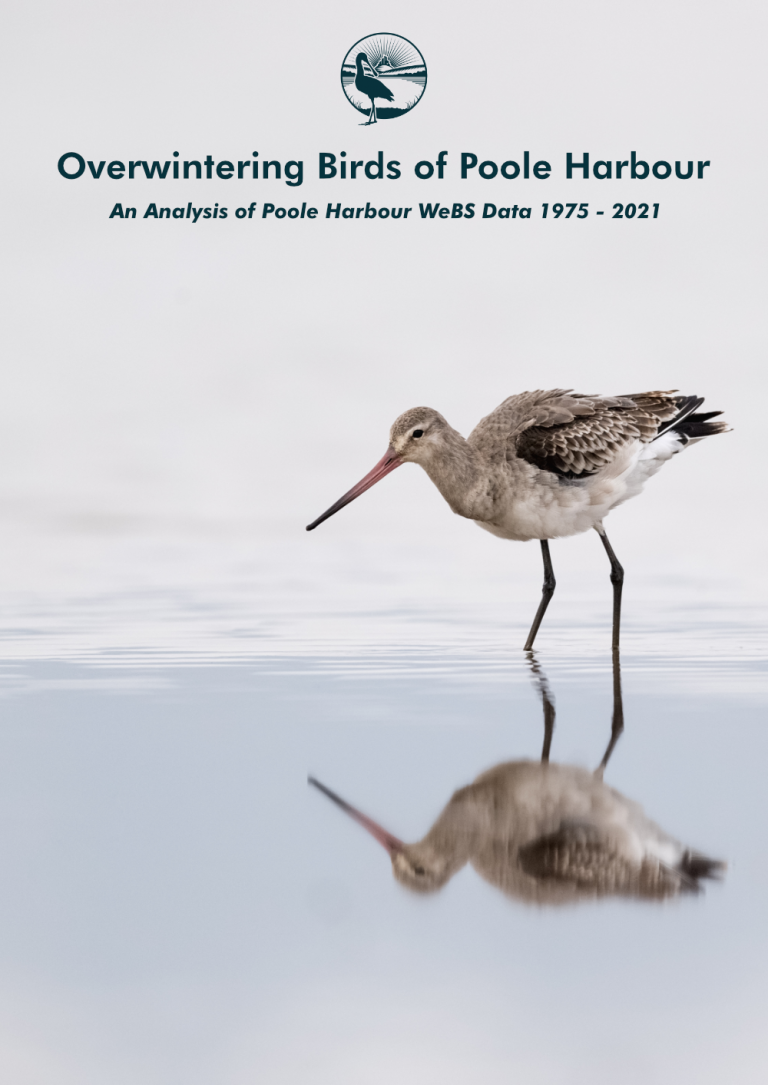 Overwintering Birds of Poole Harbour - An Analysis of Poole Harbour ...