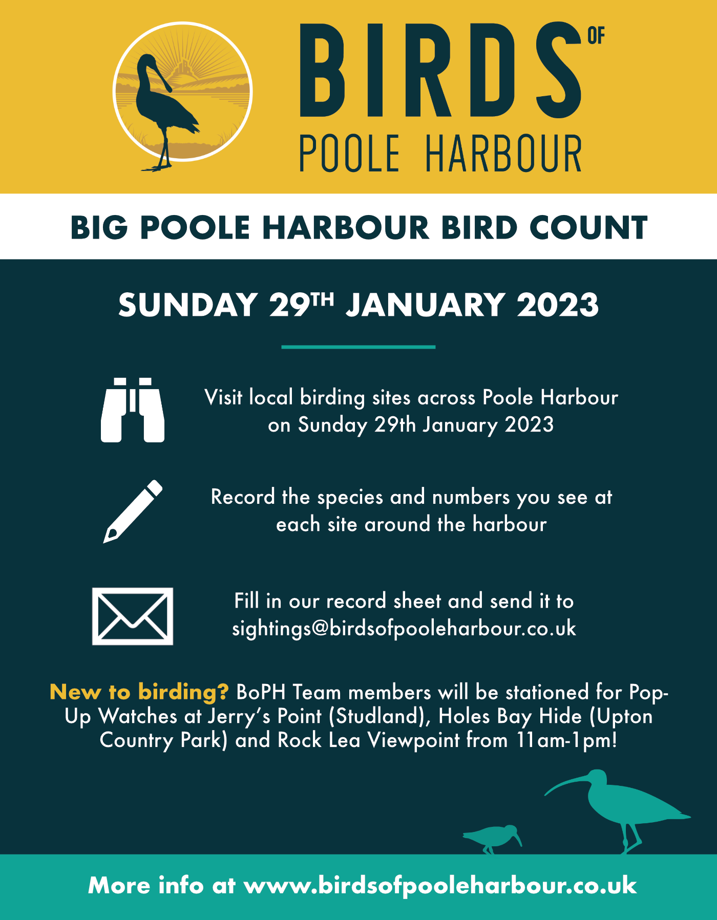 Winter Big Poole Harbour Bird Count - Birds of Poole Harbour